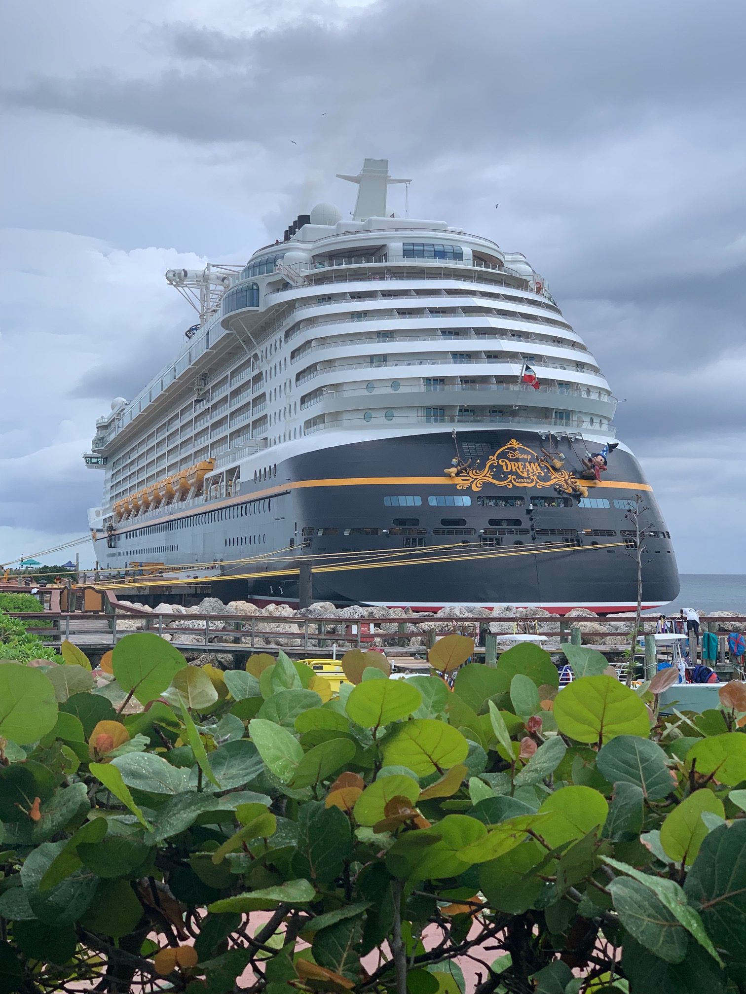 Disney cruising: Highs, lows, and dolphins - Laura Vanderkam