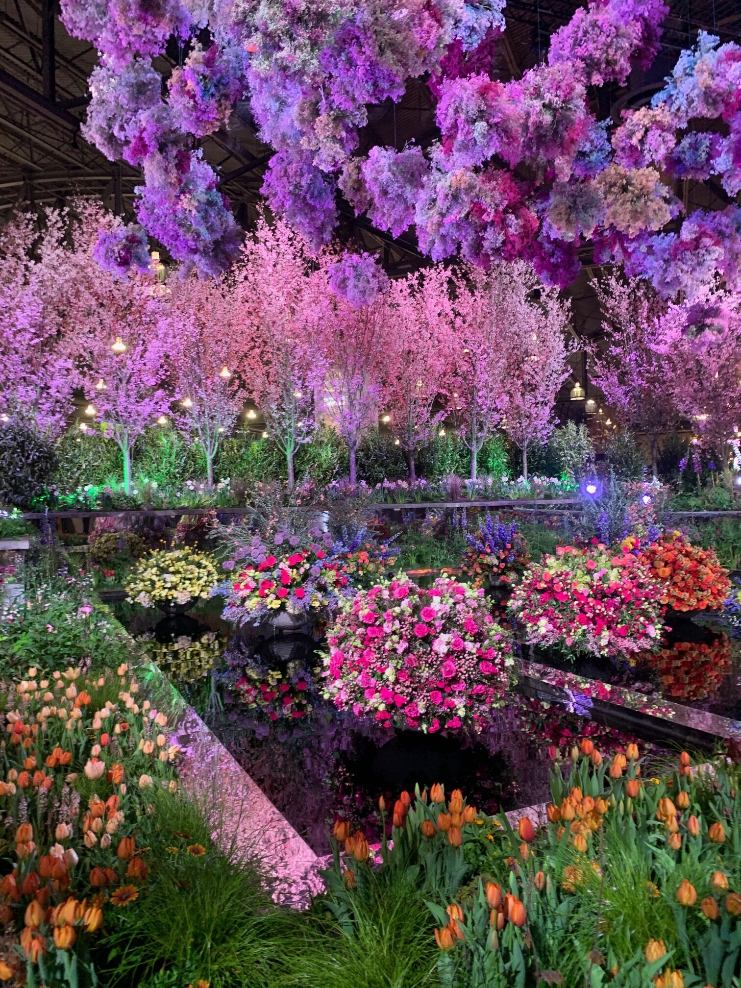 Naples, travel, flowers, tree climbing - Laura Vanderkam