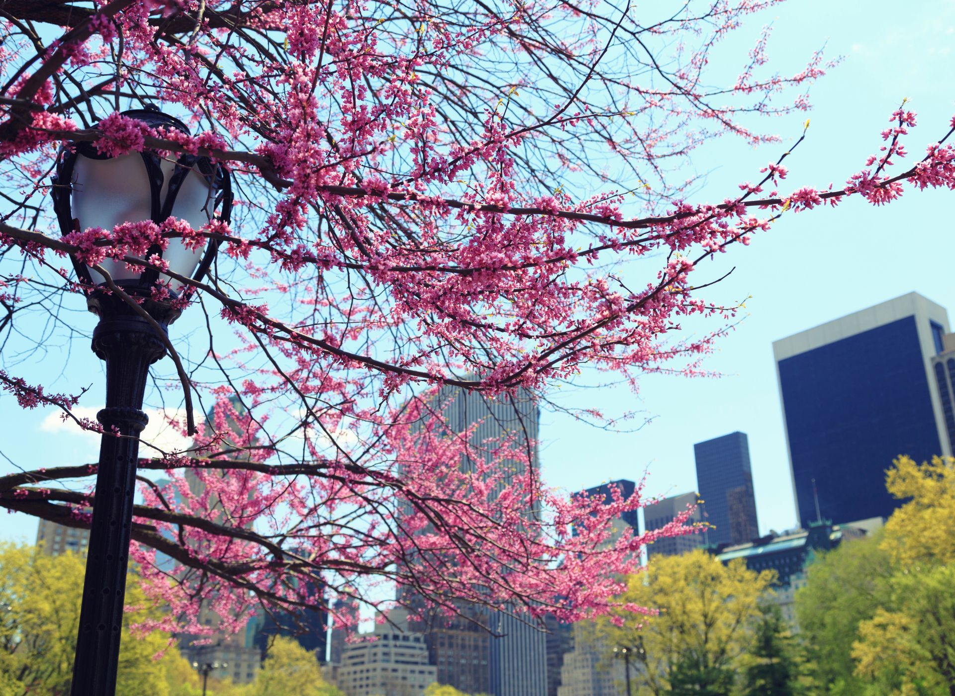 Friday content round-up, late March edition - Laura Vanderkam