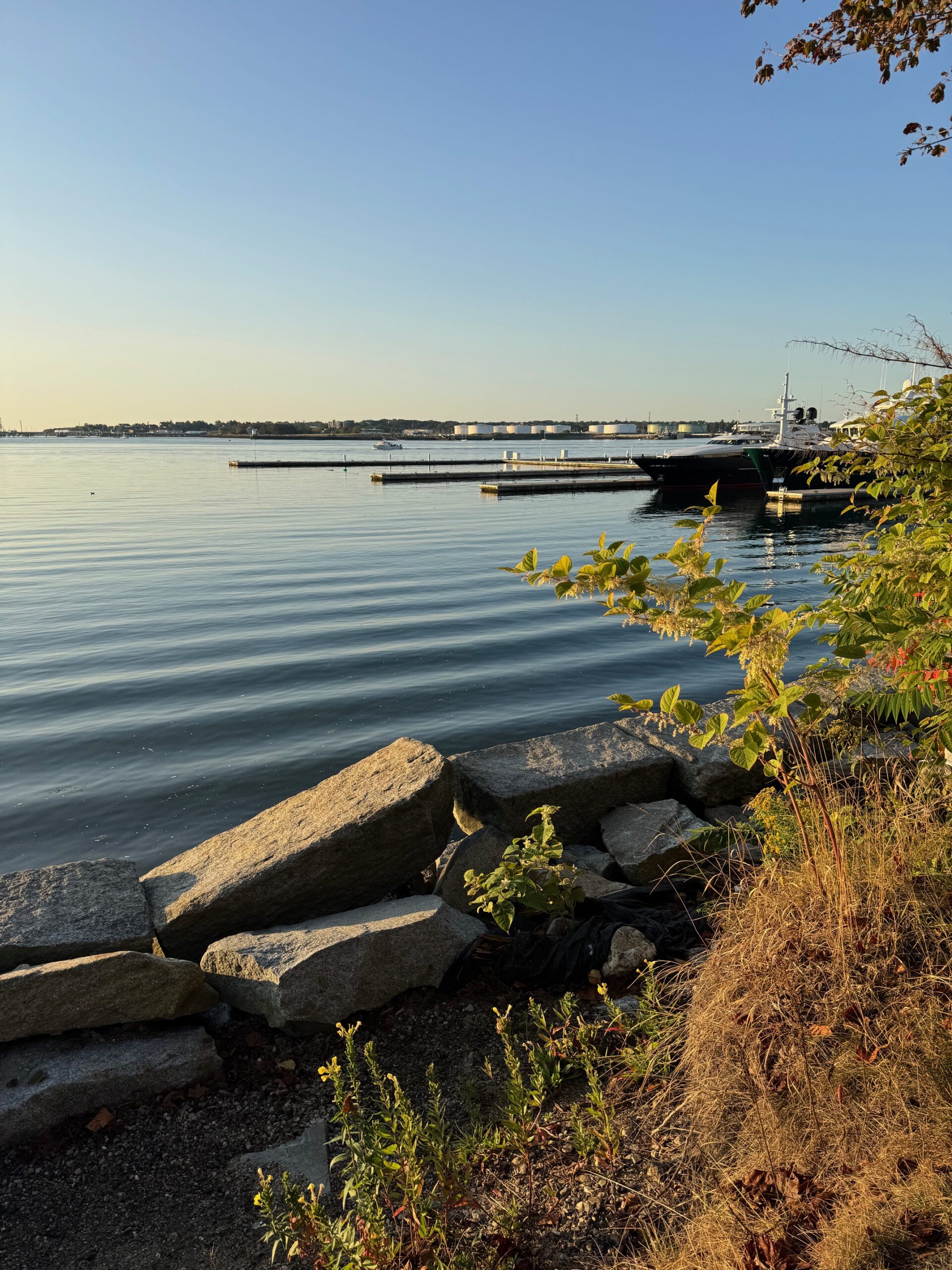 Friday round-up plus time tracking/September Reset - Laura Vanderkam